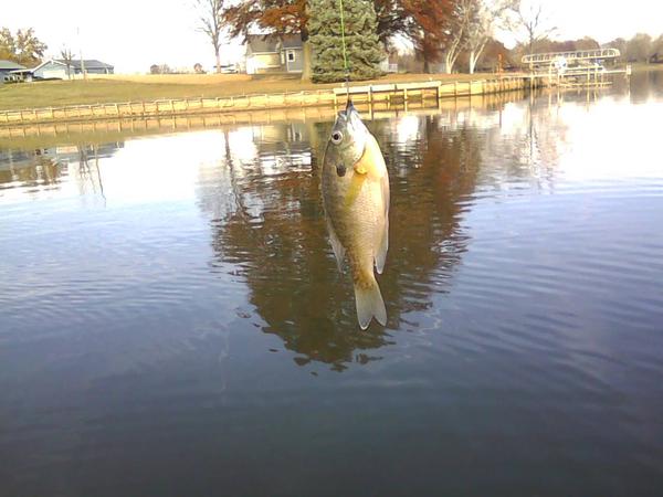 John Fish 2 | Boating Forum - iboats Boating Forums